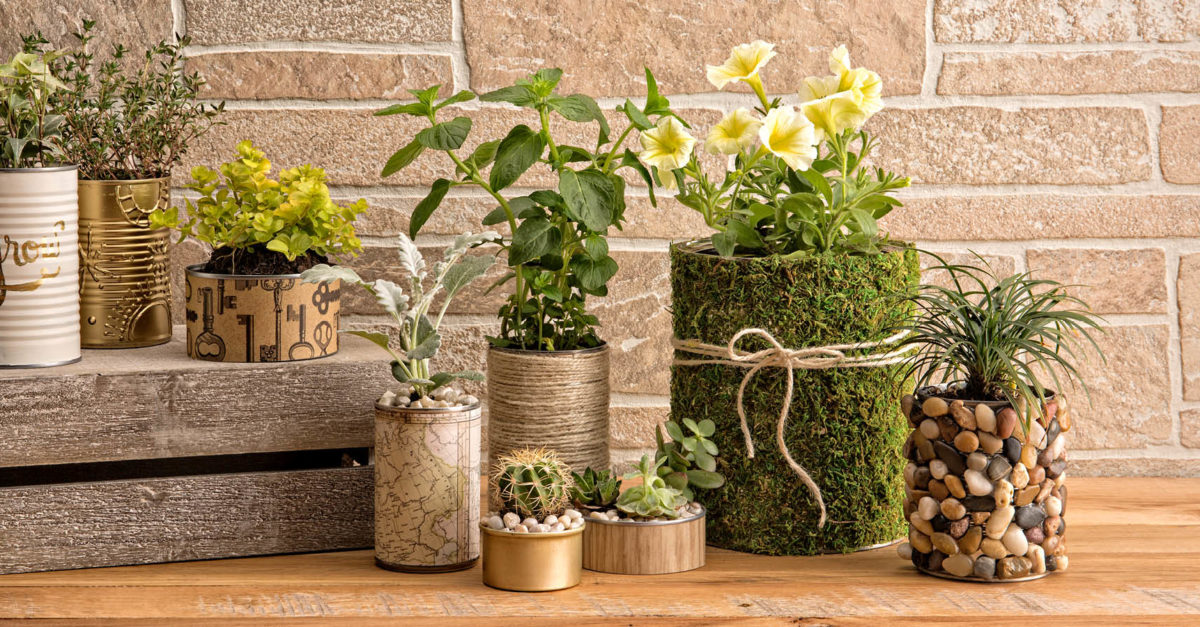 Make Your Own Can Planters - Good to Be Home