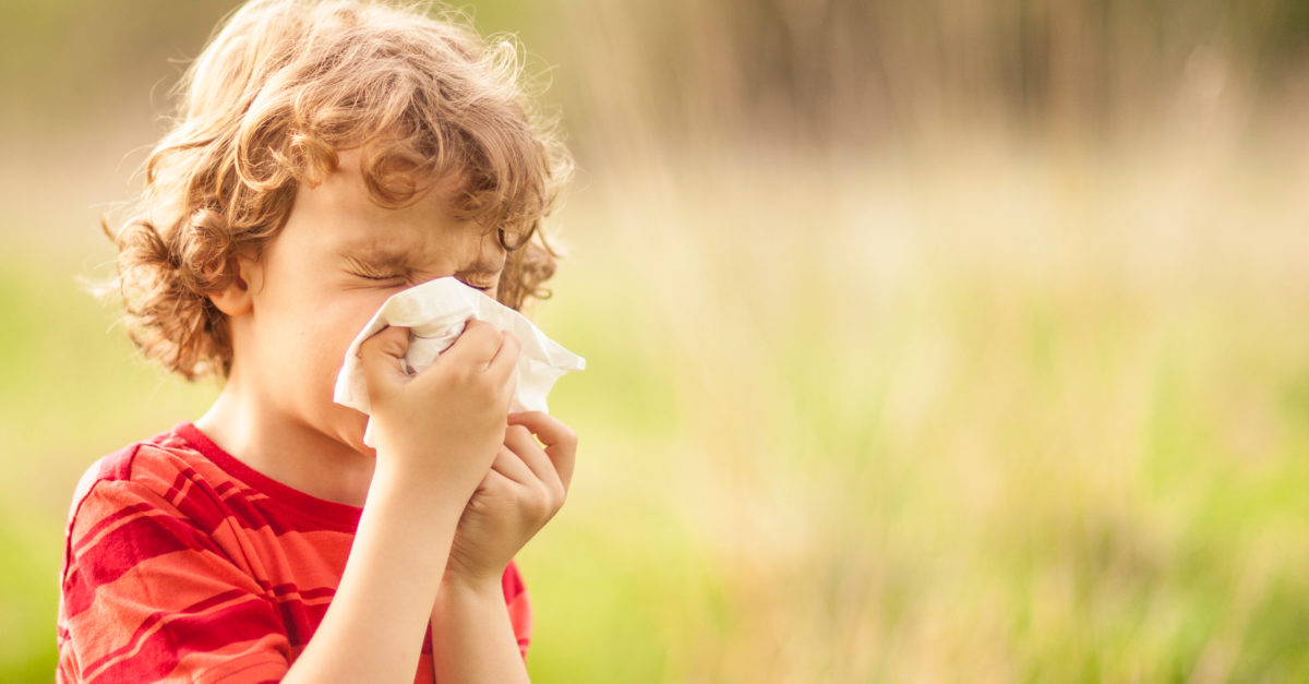 Sneaky (and Sometimes Sinister) Sources of Sickness in Your Home - Good ...