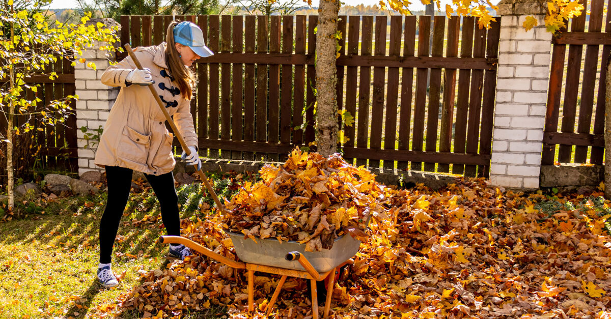 Fall Tasks for Your Outdoor Spaces - Good to Be Home