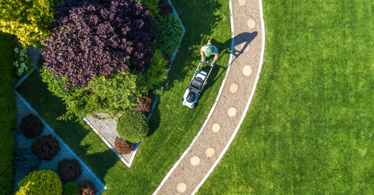 A Beginner’s Guide to Lawn Care - Good to Be Home